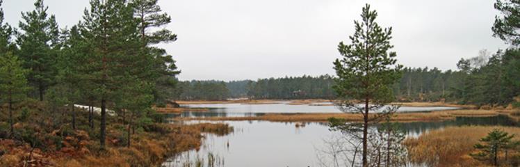 Allmannavegen - Froland kommune