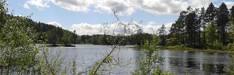 Mørløs - Froland kommune