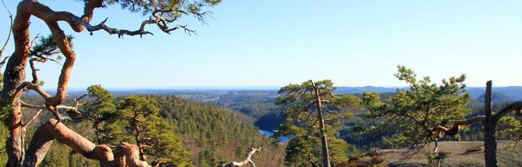 Blåfjell - Froland kommune